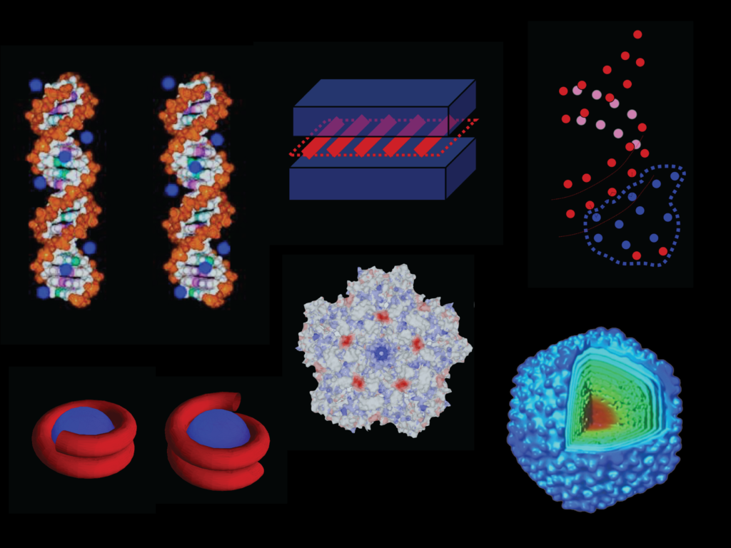 Why Electrostatics Rules the Life of a Cell - Aspen Center for Physics